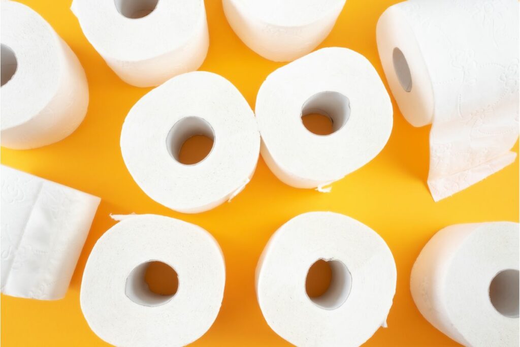 Length, Width, And Height Of Toilet Paper: An Ultimate Guide To Toilet ...